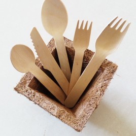 Eco friendly Cutlery – Save Globe, ecofriedly food containers, coconut ...