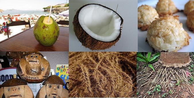 Biodegradable and sustainable resources: part III – Save Globe, Eco ...